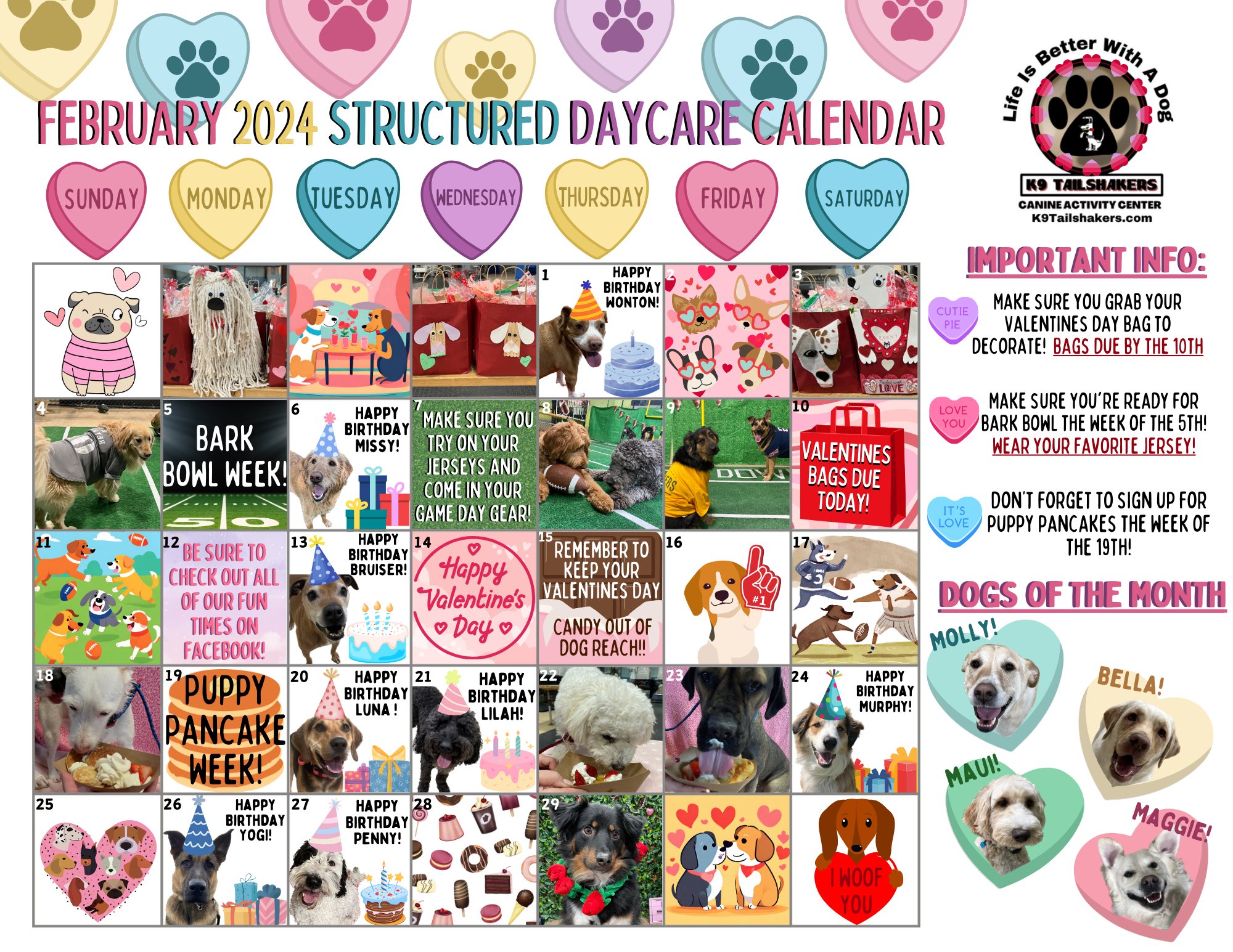 Structured Daycare | K9 Tailshakers, Inc.
